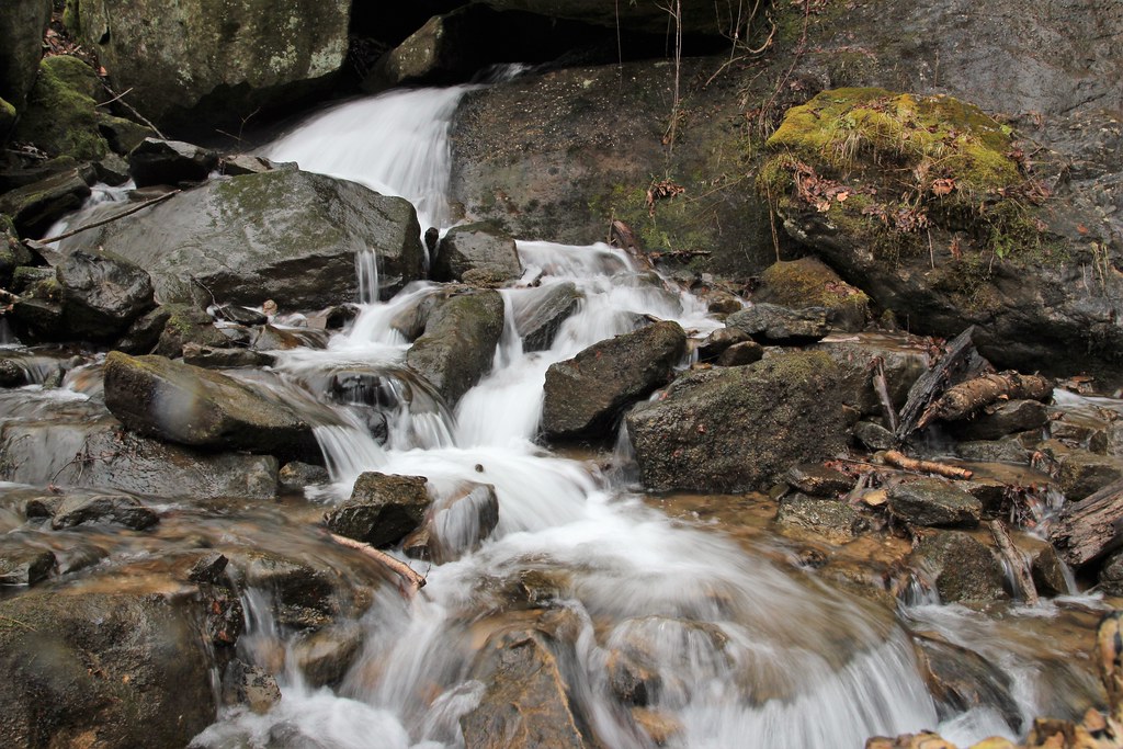 Present in Nature | News, Sports, Jobs - Times Observer